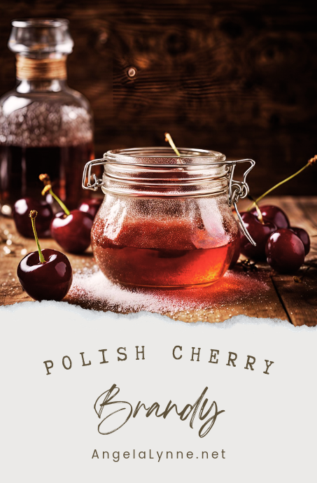 Polish Cherry Brandy (Wisniak) - AngelaLynne