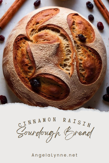 Cinnamon Raisin Sourdough Bread - AngelaLynne