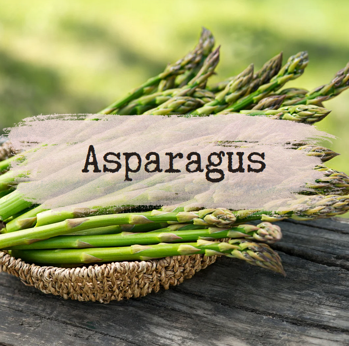 Texas Asparagus - AngelaLynne
